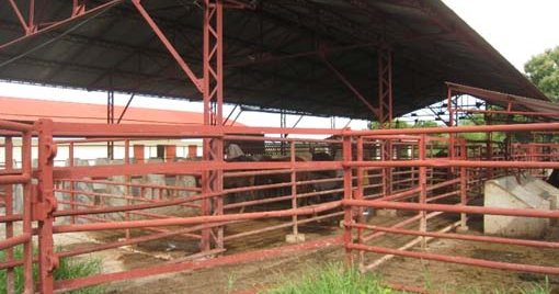 Station de recherche de Miadàna-Marovoay - Madagascar-Tribune.com