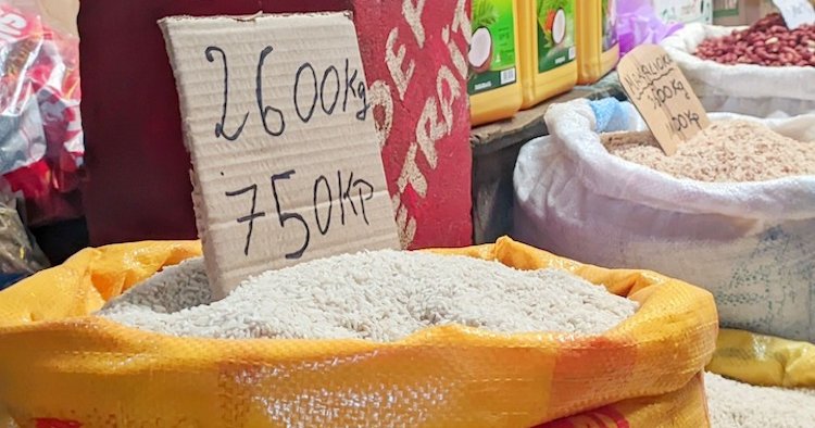 Consommation : le prix du riz commence à baisser - Madagascar-Tribune.com